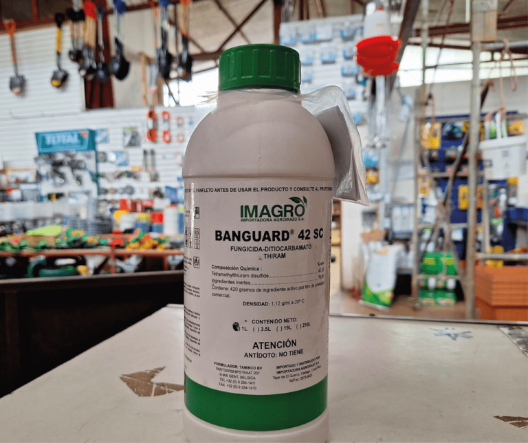 BANGUARD 42 SC - Apacoop